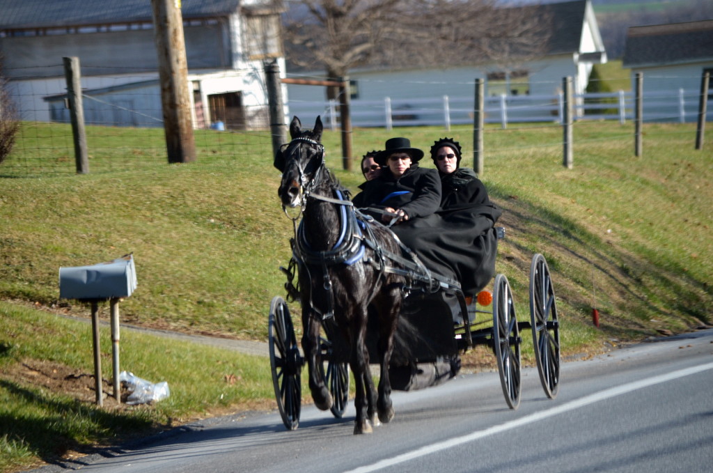 Amish Country On A Sunday Afternoon – My Journey – by Doris High