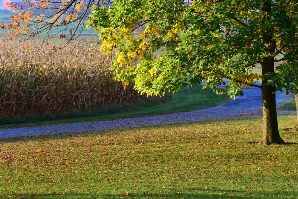 A Beautiful, Cool, Autumn Morning – My Journey – by Doris High