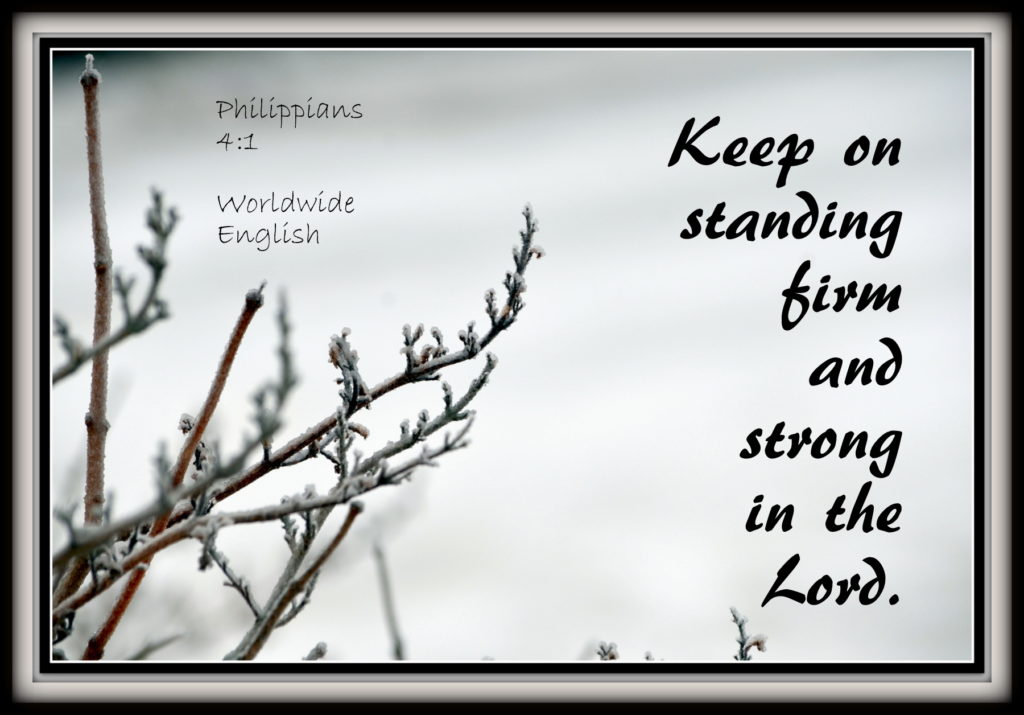 Keep on Standing – My Journey – by Doris High