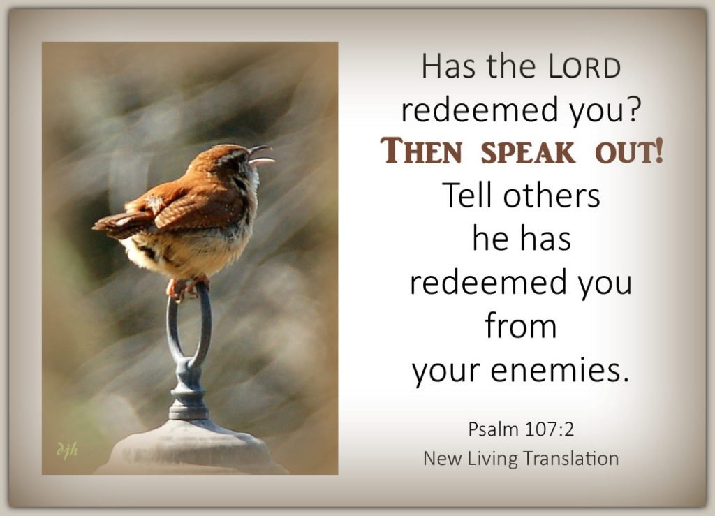 Has the Lord Redeemed You? – My Journey – by Doris High