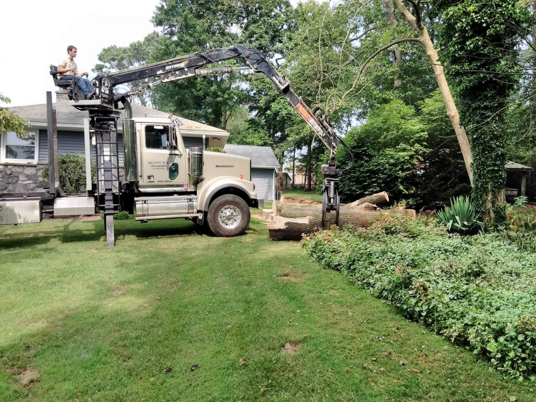 Removal of Our Tree’s Large Logs – My Journey – by Doris High