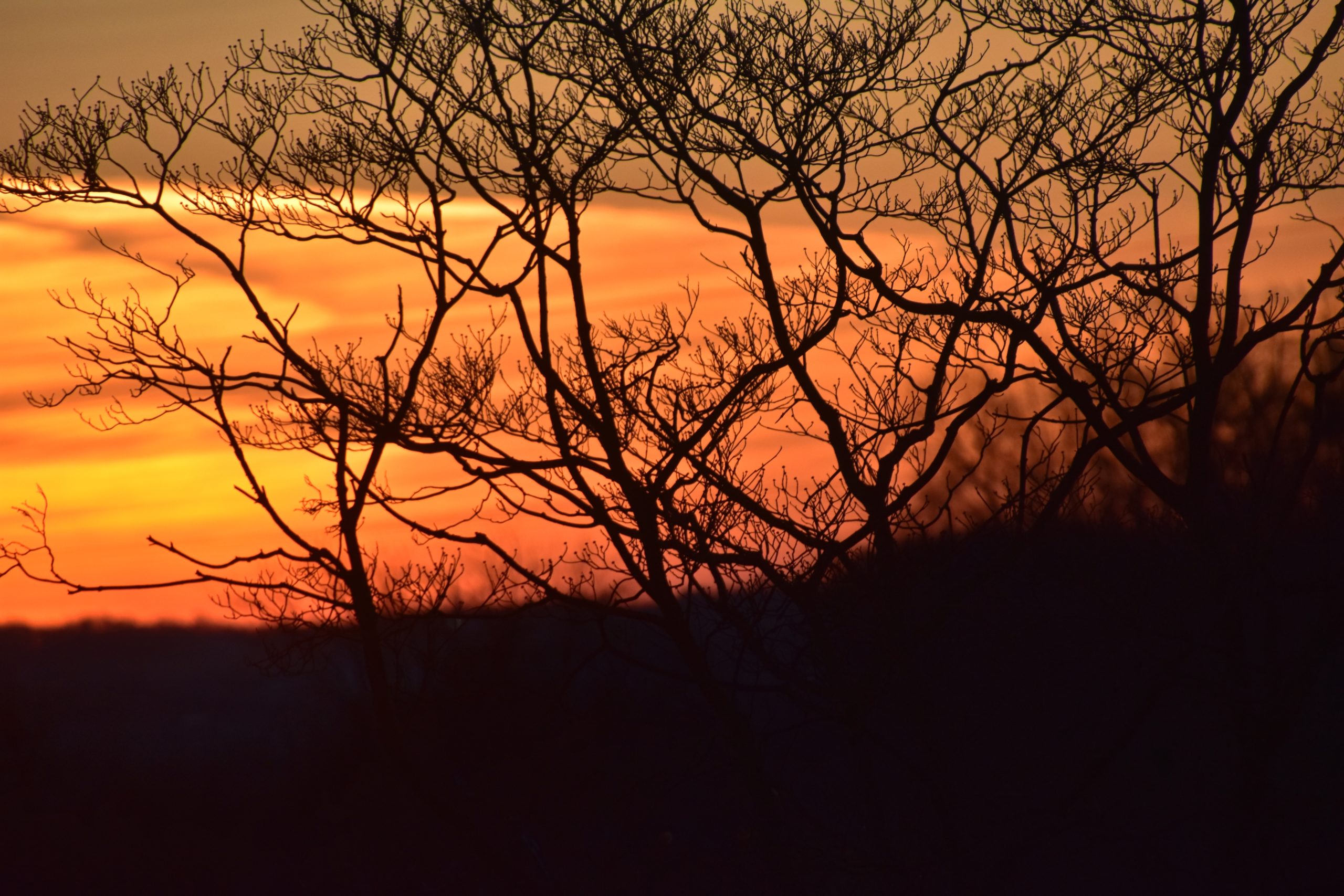 Another Pretty December Sunset – My Journey – by Doris High