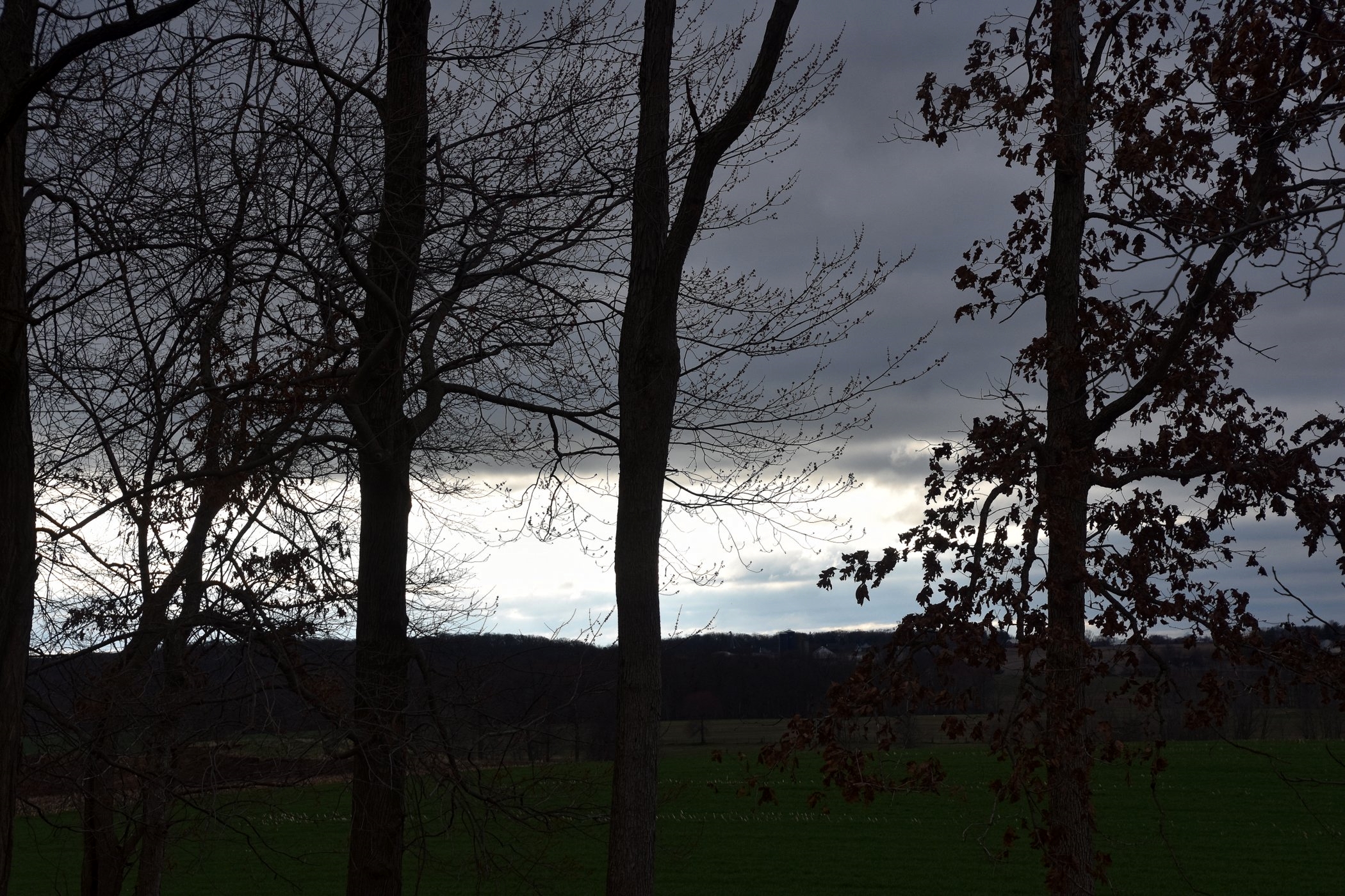 A Cloudy, Dreary Day – My Journey – by Doris High