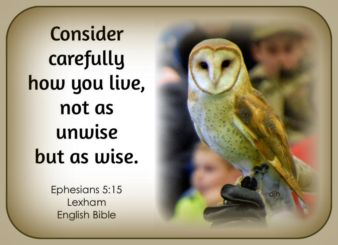 Live Wisely Today – My Journey – by Doris High