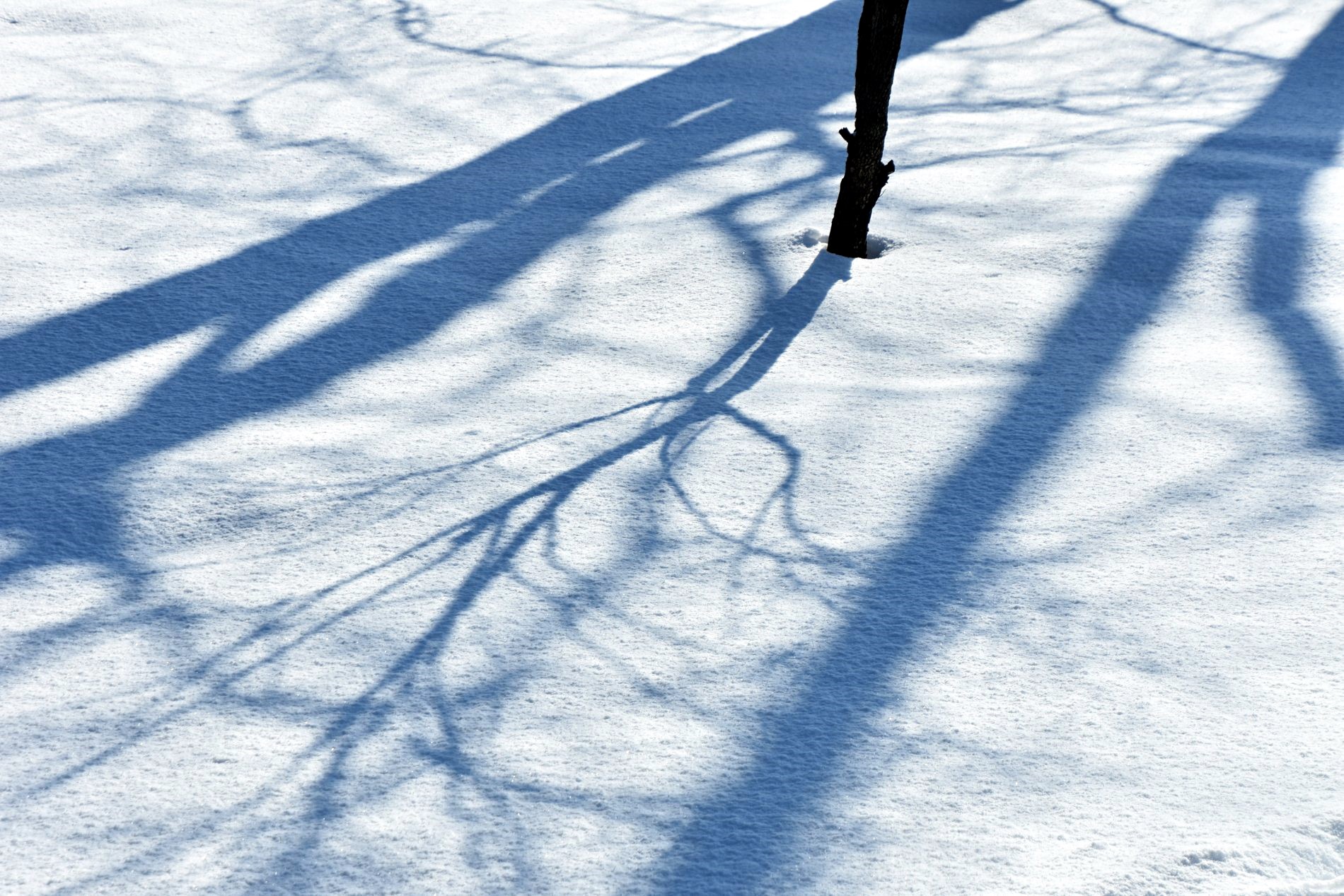 Shadows in the Snow – My Journey – by Doris High
