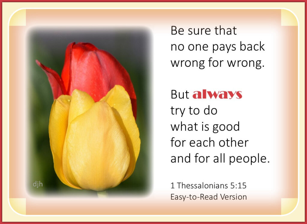 Do What Is Good for Each Other – My Journey – by Doris High