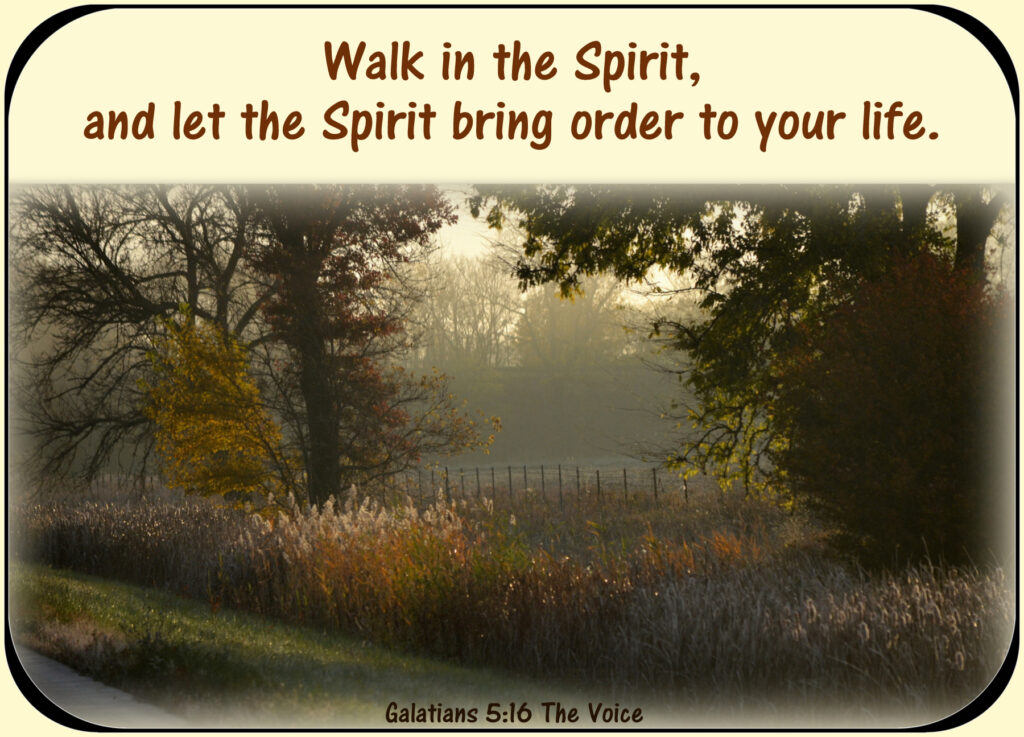 Let the Spirit Bring Order to Your Life – My Journey – by Doris High
