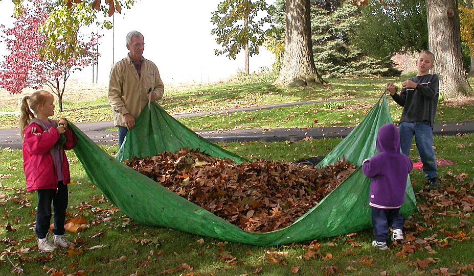 Redneck Leaf Catcher – My Journey – by Doris High