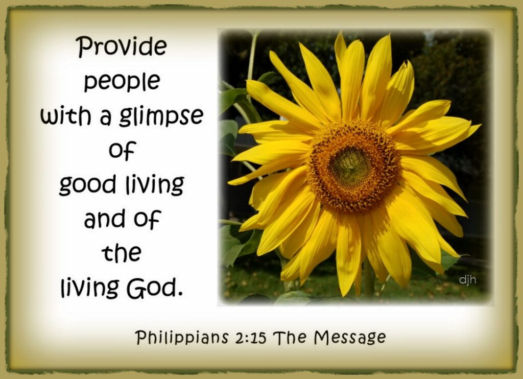 Give Them a Glimpse of God – My Journey – by Doris High