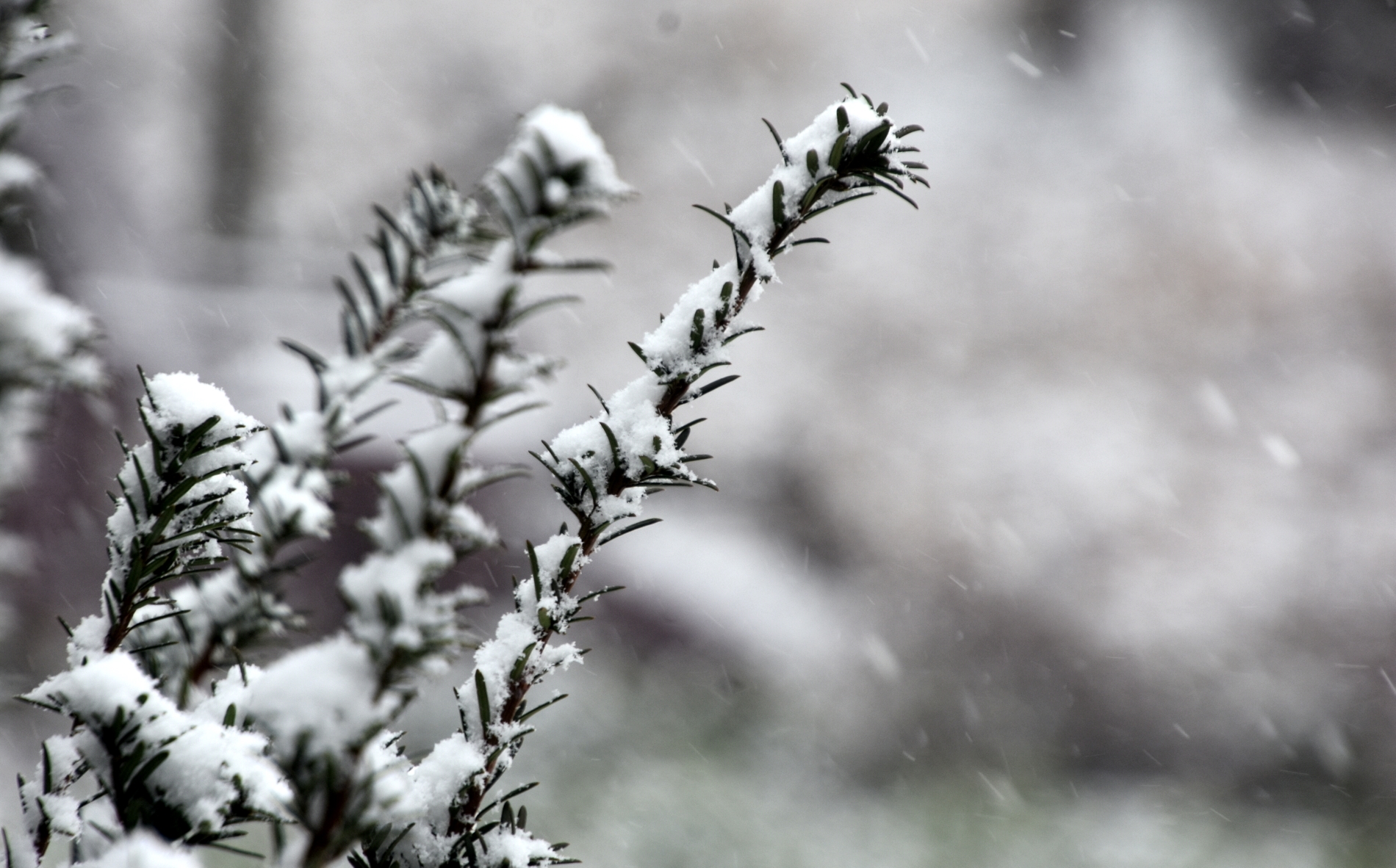 Winter Is Upon Us and Something to Ponder – My Journey – by Doris High
