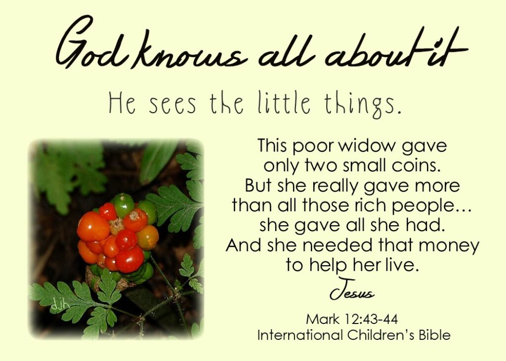 God Notices Little Things – My Journey – by Doris High