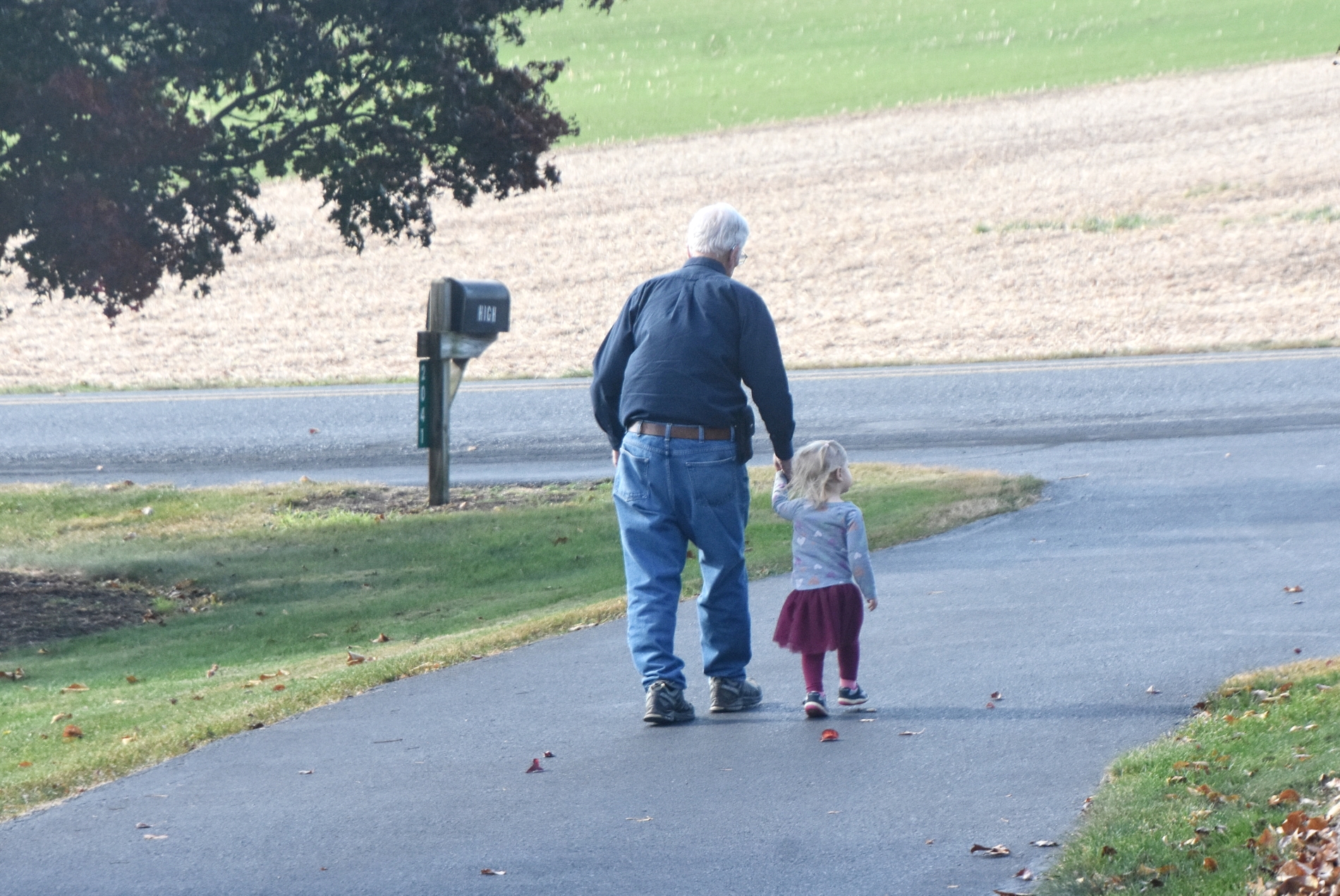 Bless Abby Day – My Journey – by Doris High