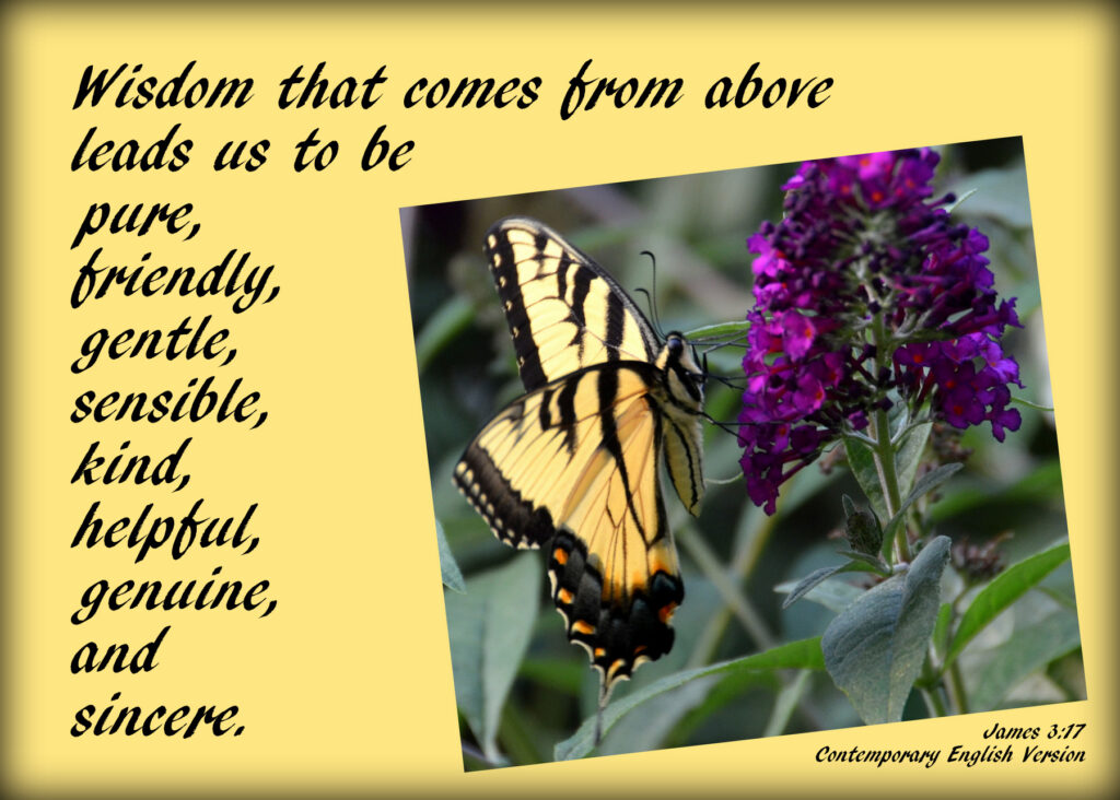 Wisdom That Comes from Above – My Journey – by Doris High