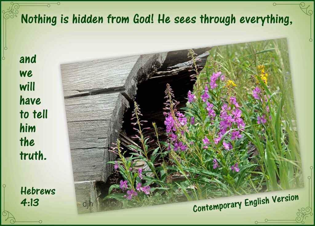 God Sees Through Everything – My Journey – by Doris High