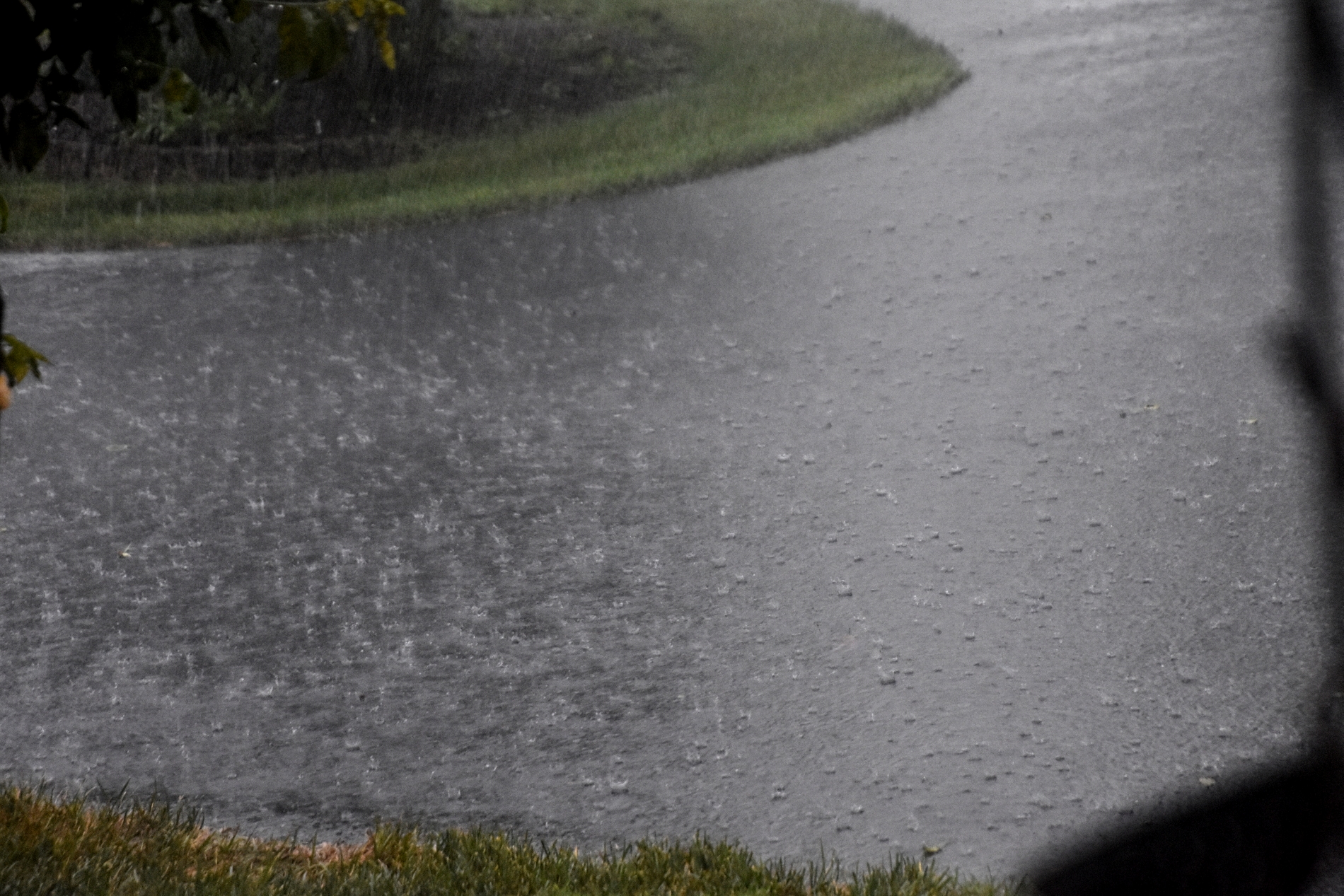 Rain – My Journey – by Doris High