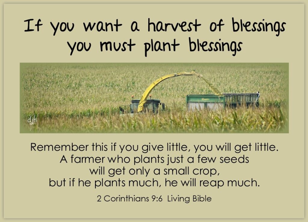 Are You Planting Blessings? – My Journey – by Doris High