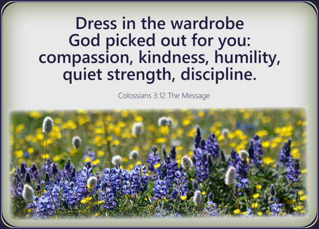 God’s Wardrobe – My Journey – by Doris High