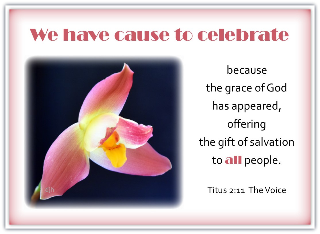 The Grace of God Has Appeared! – My Journey – by Doris High