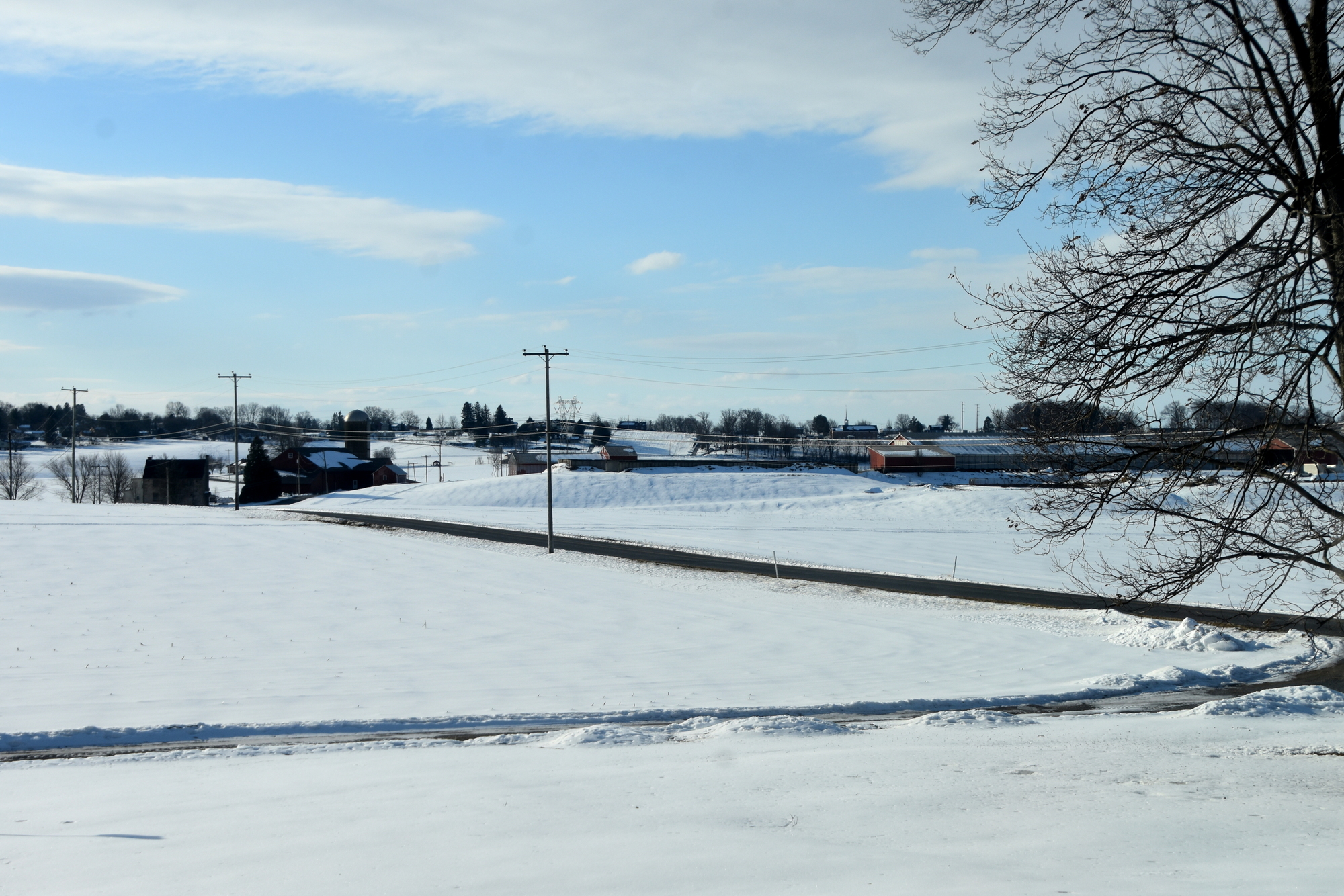 A Cold Day When Snow Still Covered The Ground – My Journey – by Doris High