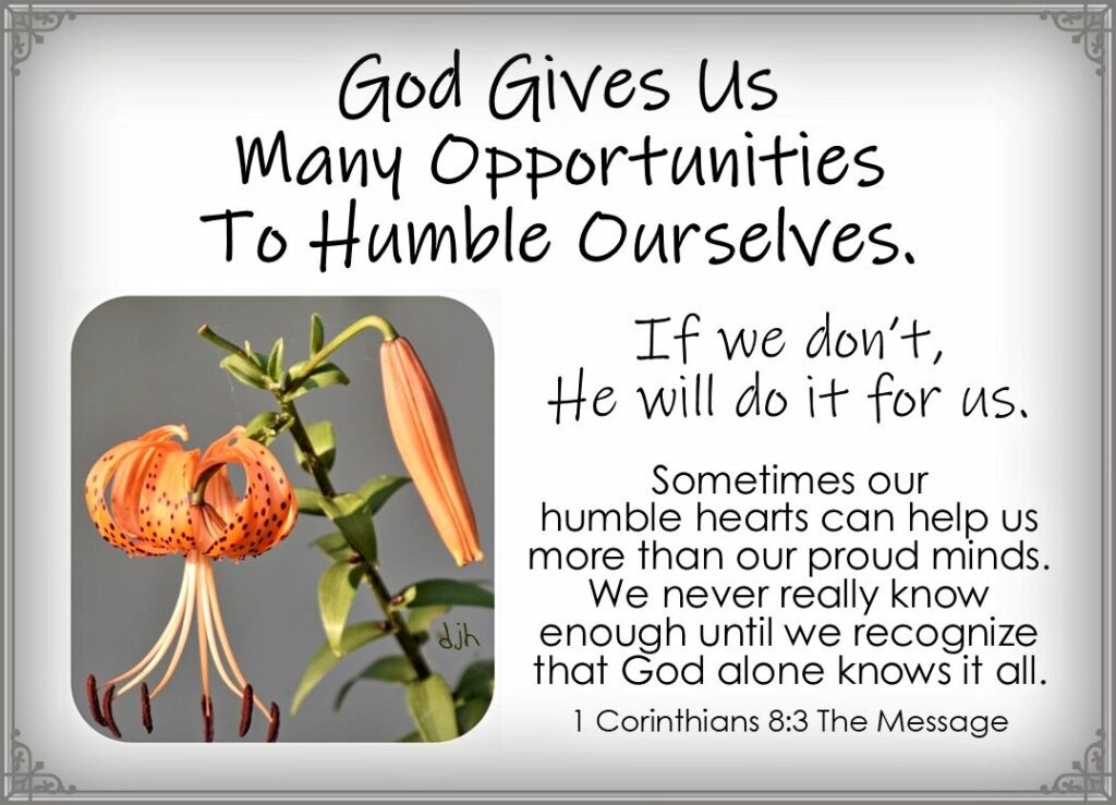 God Knows It All – My Journey – by Doris High